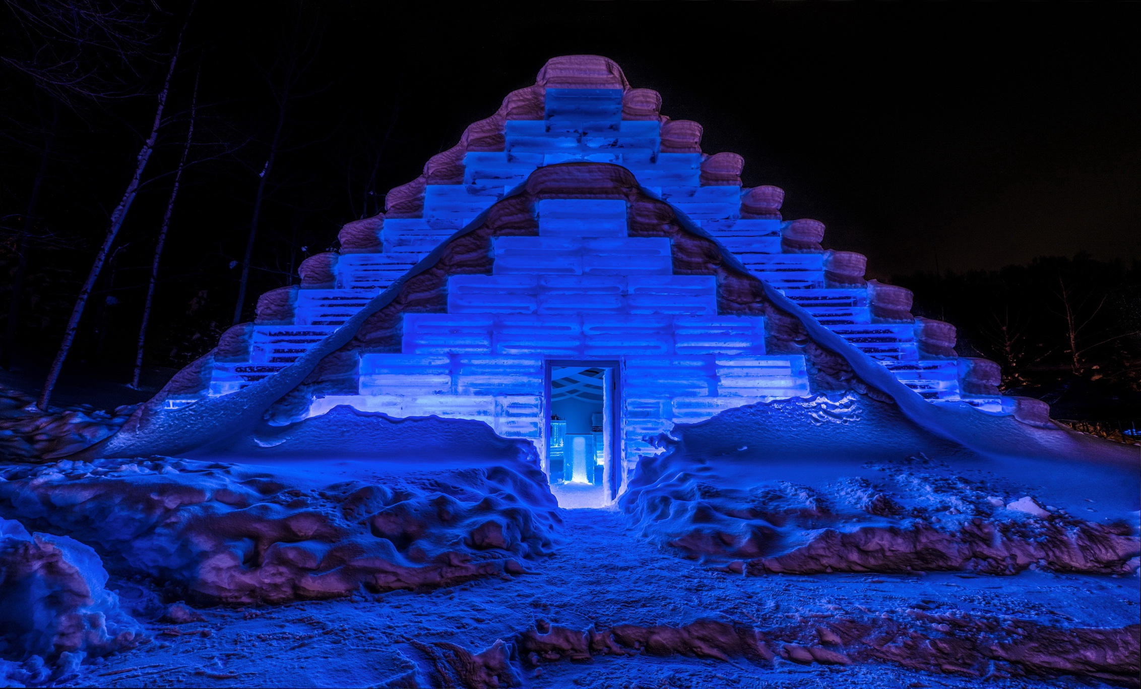 ICE FOREST 冰酒吧 | Sapporo Convention Bureau
